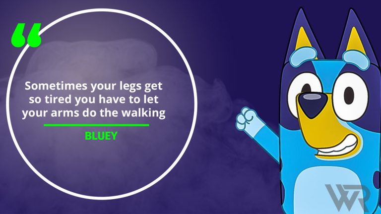 21 Top Bluey Quotes (with Commentary) - Wealth Rector
