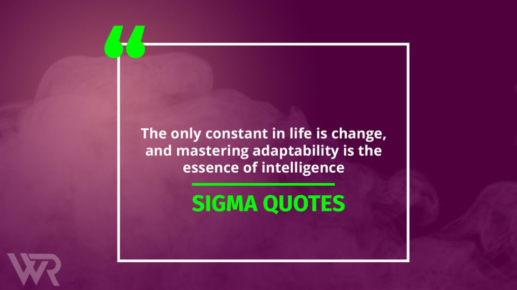 47 Top Sigma Quotes (with Commentary) - Wealth Rector