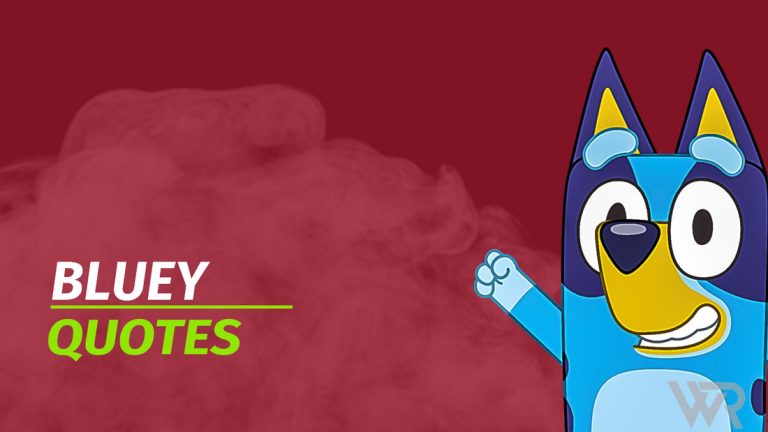 21 Top Bluey Quotes (with Commentary) - Wealth Rector