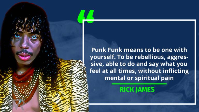 Rick James Net Worth & Achievements (1948 - 2004) - Wealth Rector